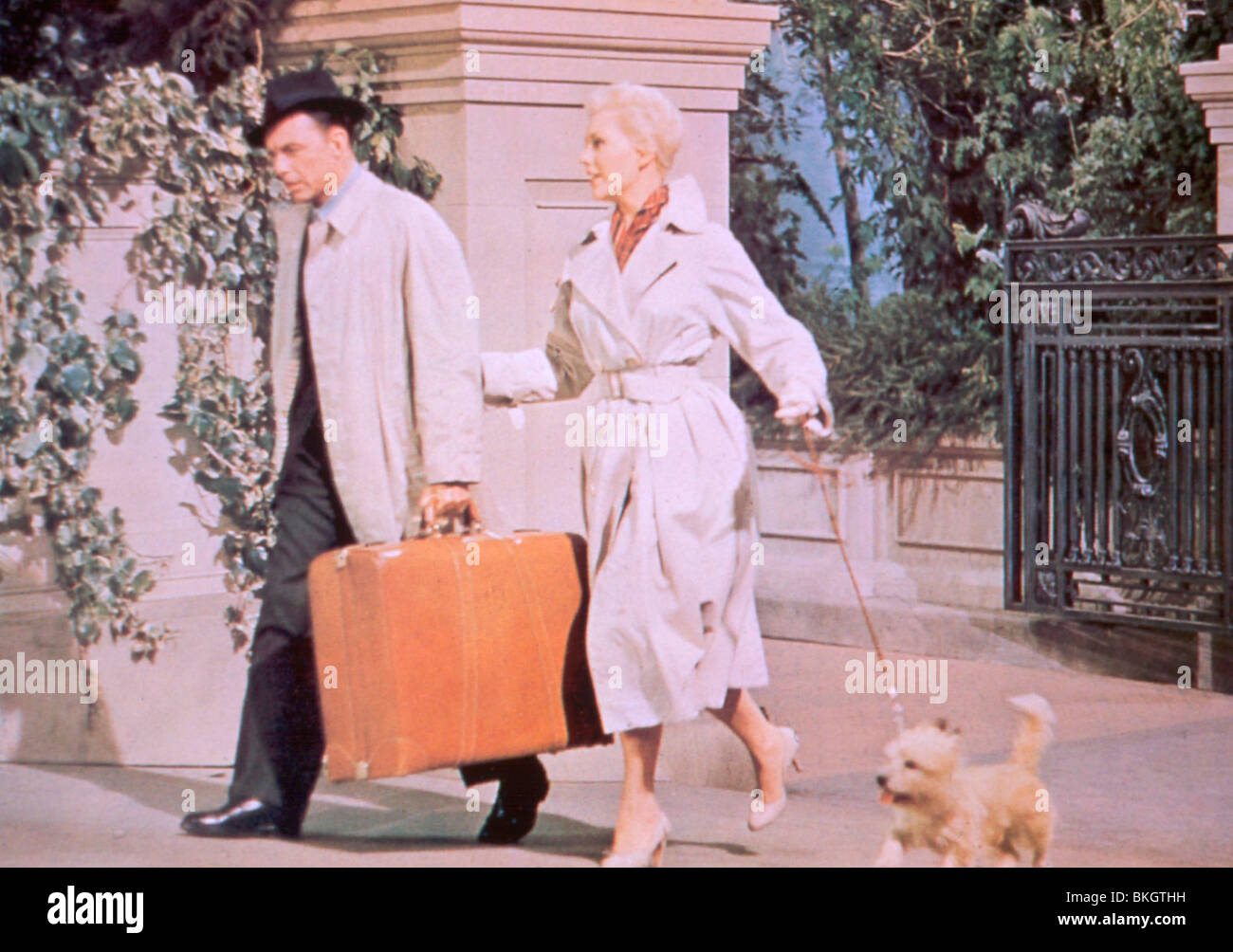 PAL JOEY (1957) FRANK SINATRA, KIM NOVAK PJY 019 Stock Photo - Alamy