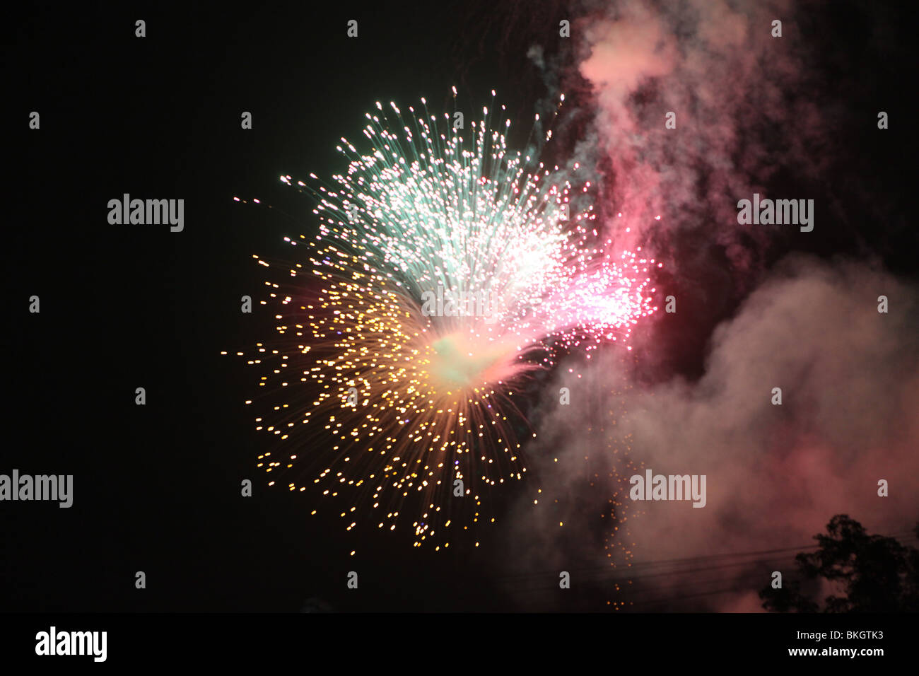 fire works display in connection with thrissur pooram,an annual ...