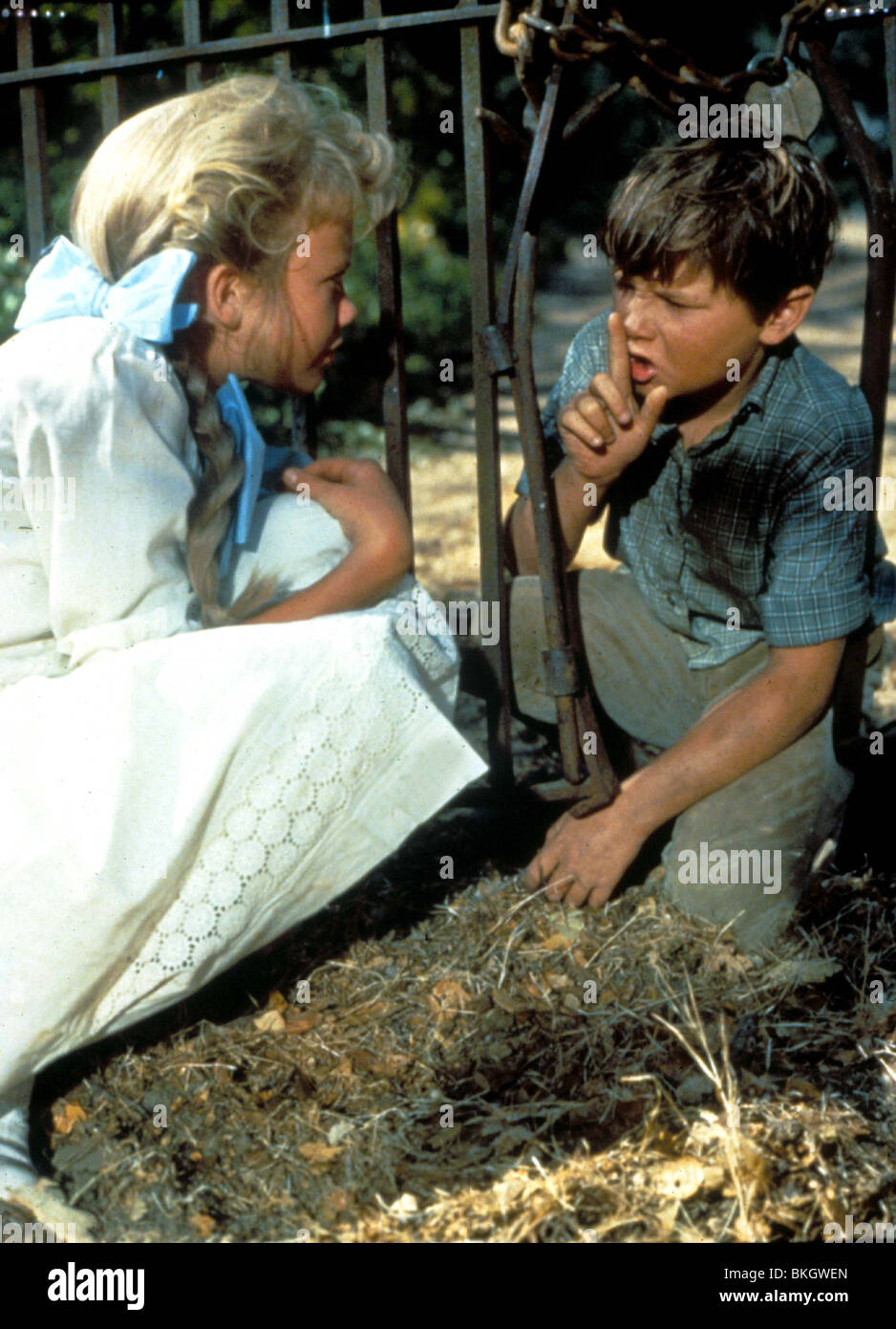 Kevin Corcoran Moochie