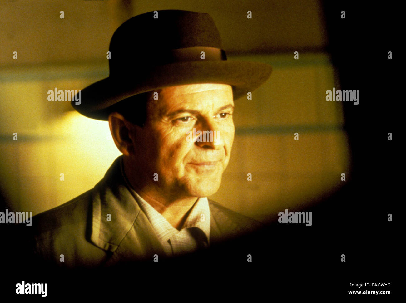 Joe Pesci High Resolution Stock Photography and Images - Alamy