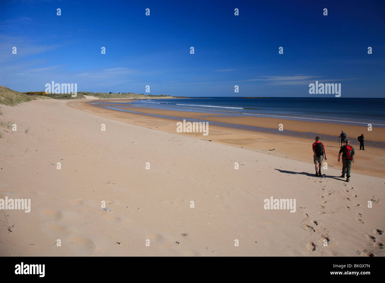Northumbrian coast hi-res stock photography and images - Alamy