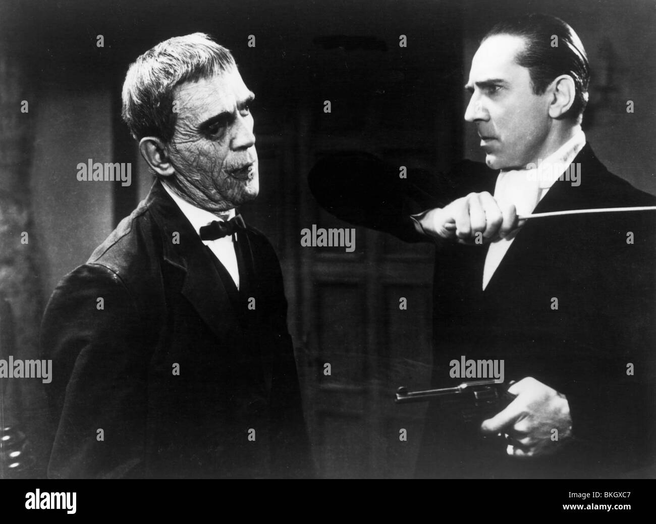 THE RAVEN (1935) BORIS KARLOFF, BELA LUGOSI RAV 004P Stock Photo - Alamy