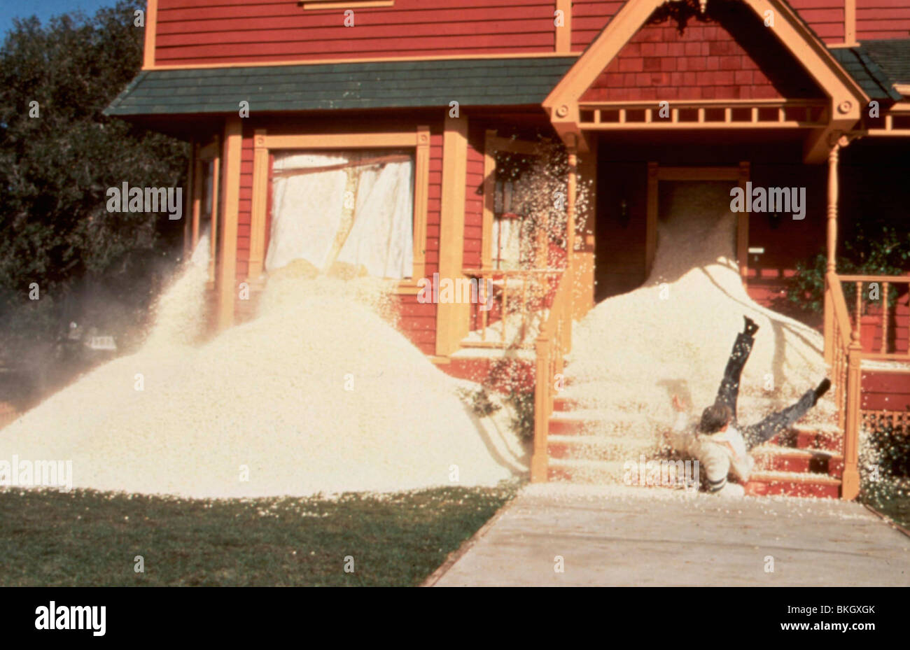 REAL GENIUS -1985 Stock Photo - Alamy