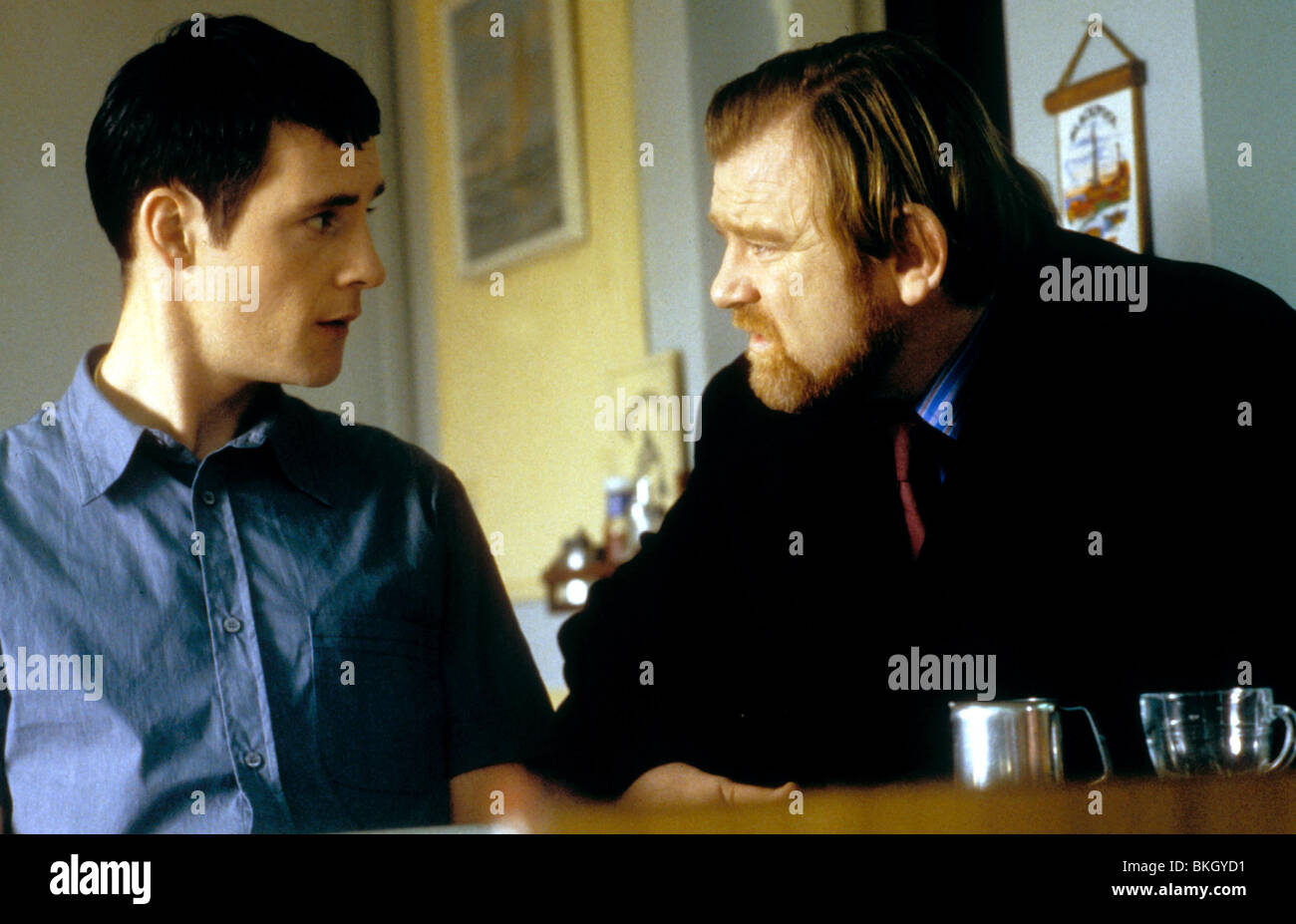 SALTWATER (2000) PETER MCDONALD, BRENDAN GLEESON SALT 013 Stock Photo ...