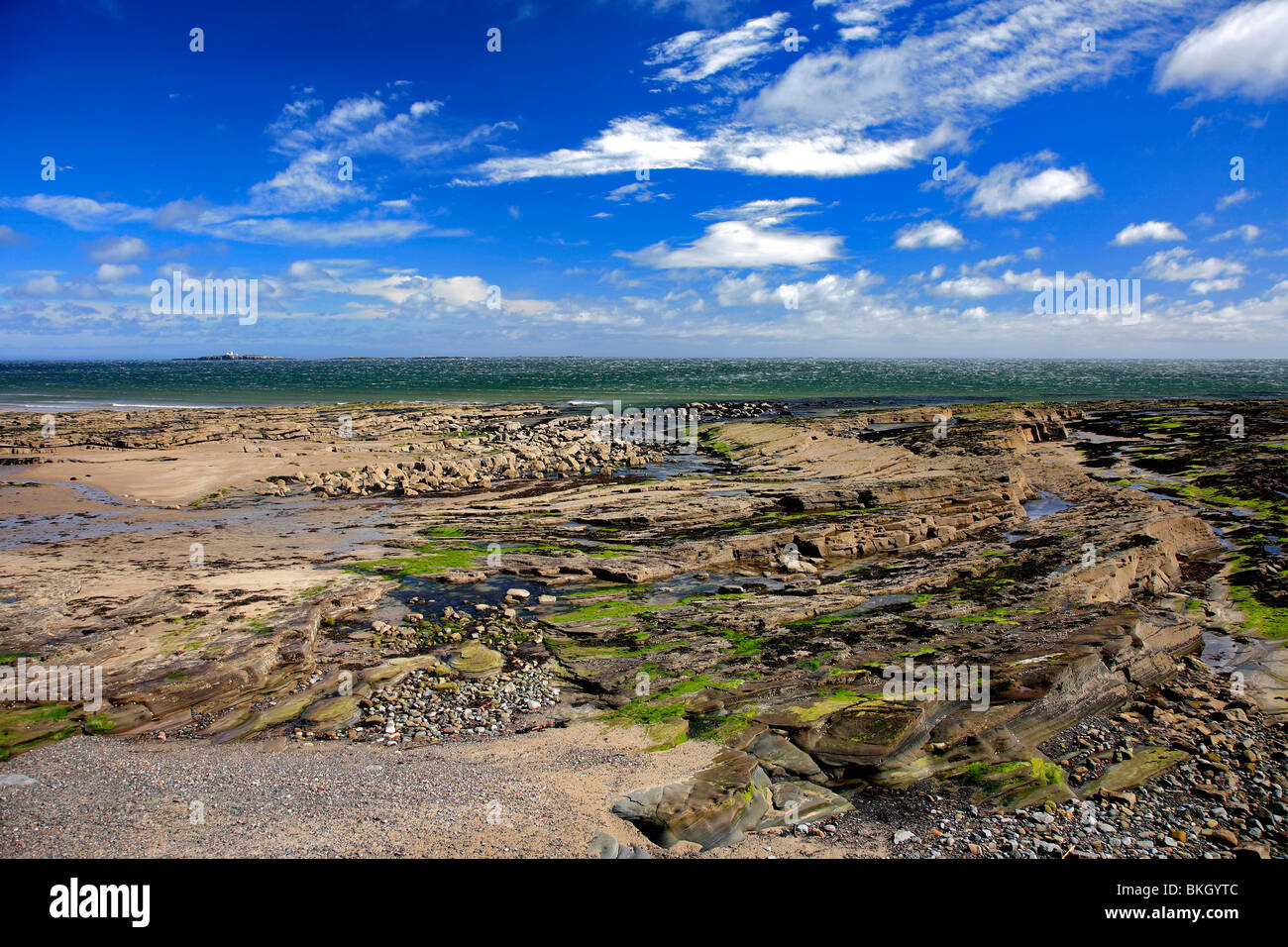 Northumbrian beaches hi-res stock photography and images - Alamy