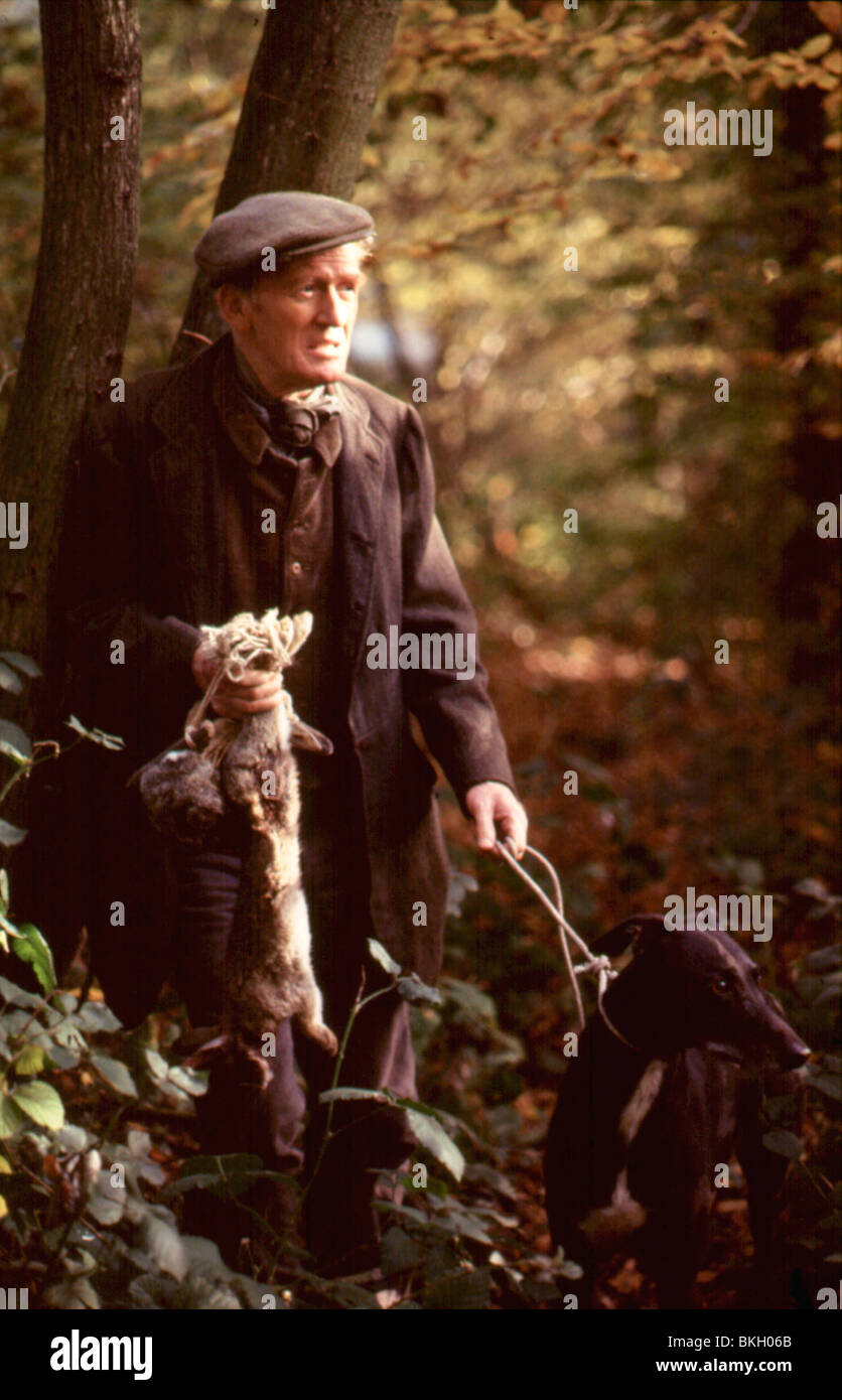 Gordon jackson hi-res stock photography and images - Alamy