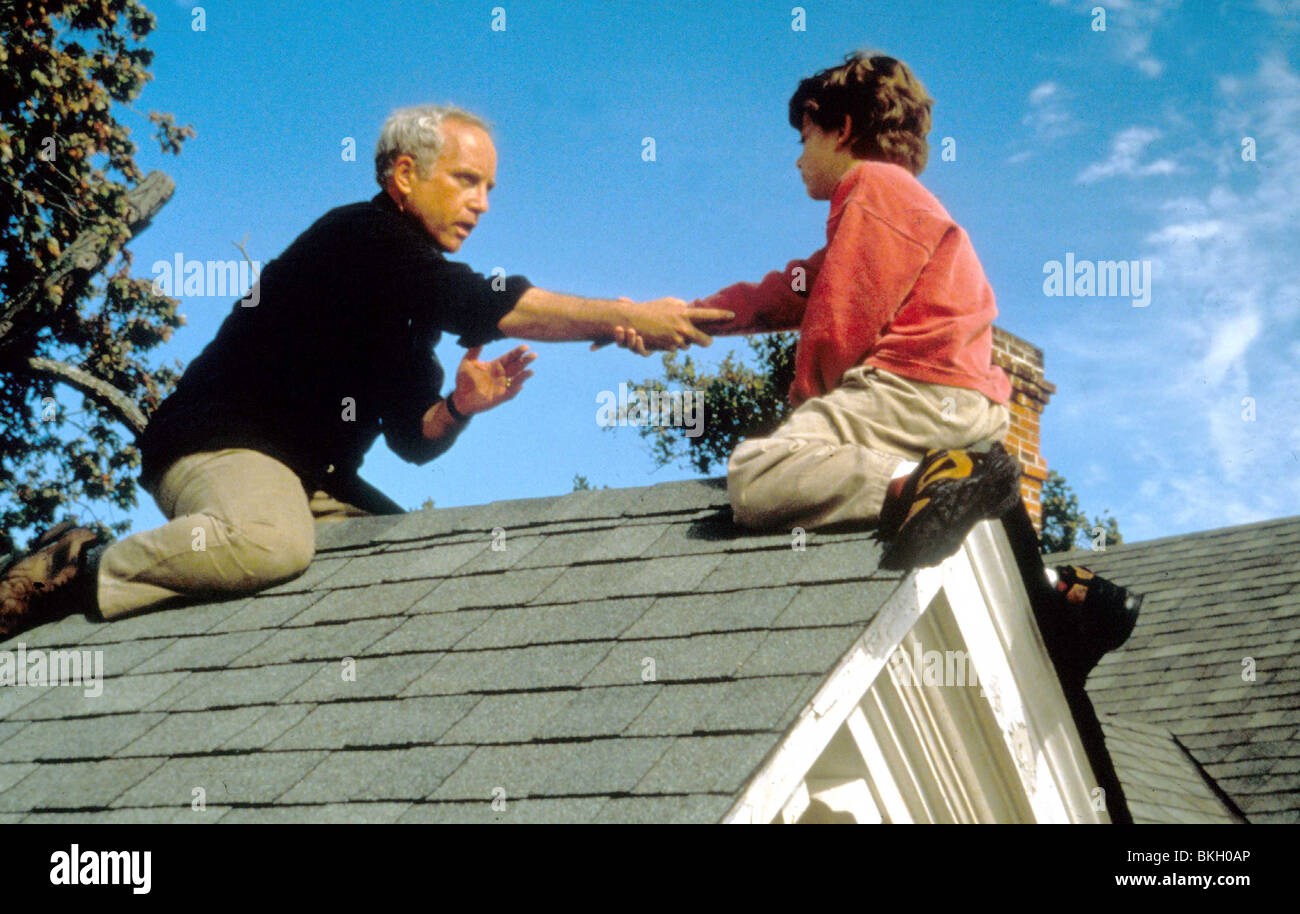 SILENT FALL (1994) RICHARD DREYFUSS, BEN FAULKNER SIFA 022 Stock Photo ...