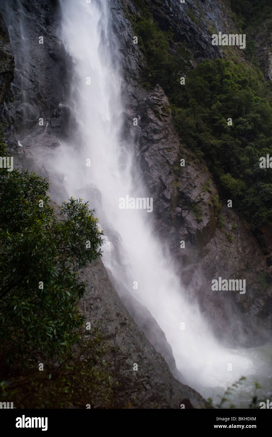 Ellenborough Falls, Elands, New South Wales, Australia Stock Photo - Alamy