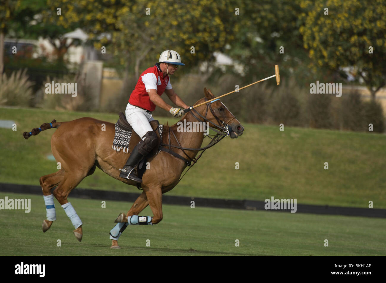 Dubai polo hi-res stock photography and images - Alamy