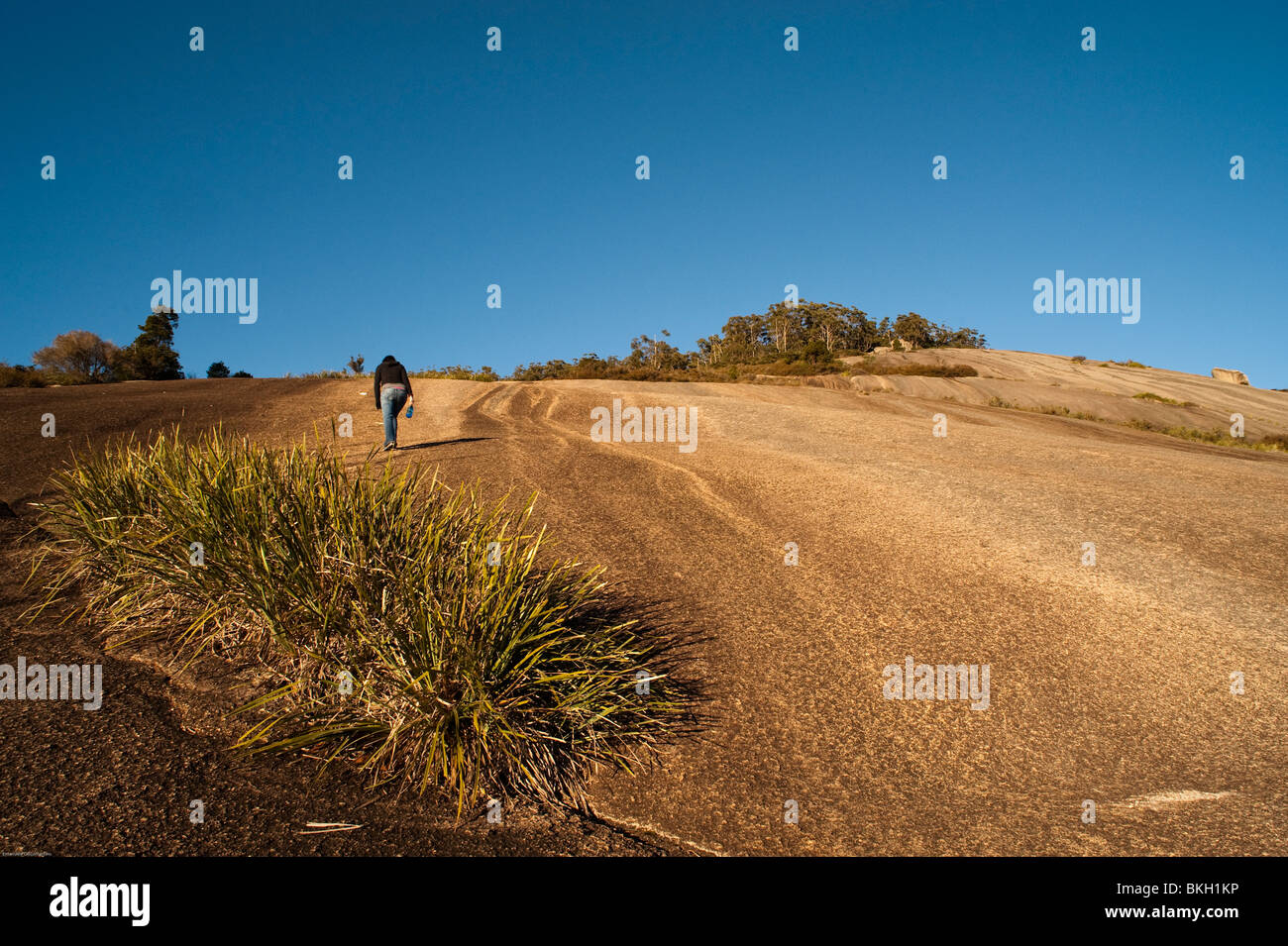 Bald Rock, Tenterfield, New South Wales, Australia Stock Photo - Alamy