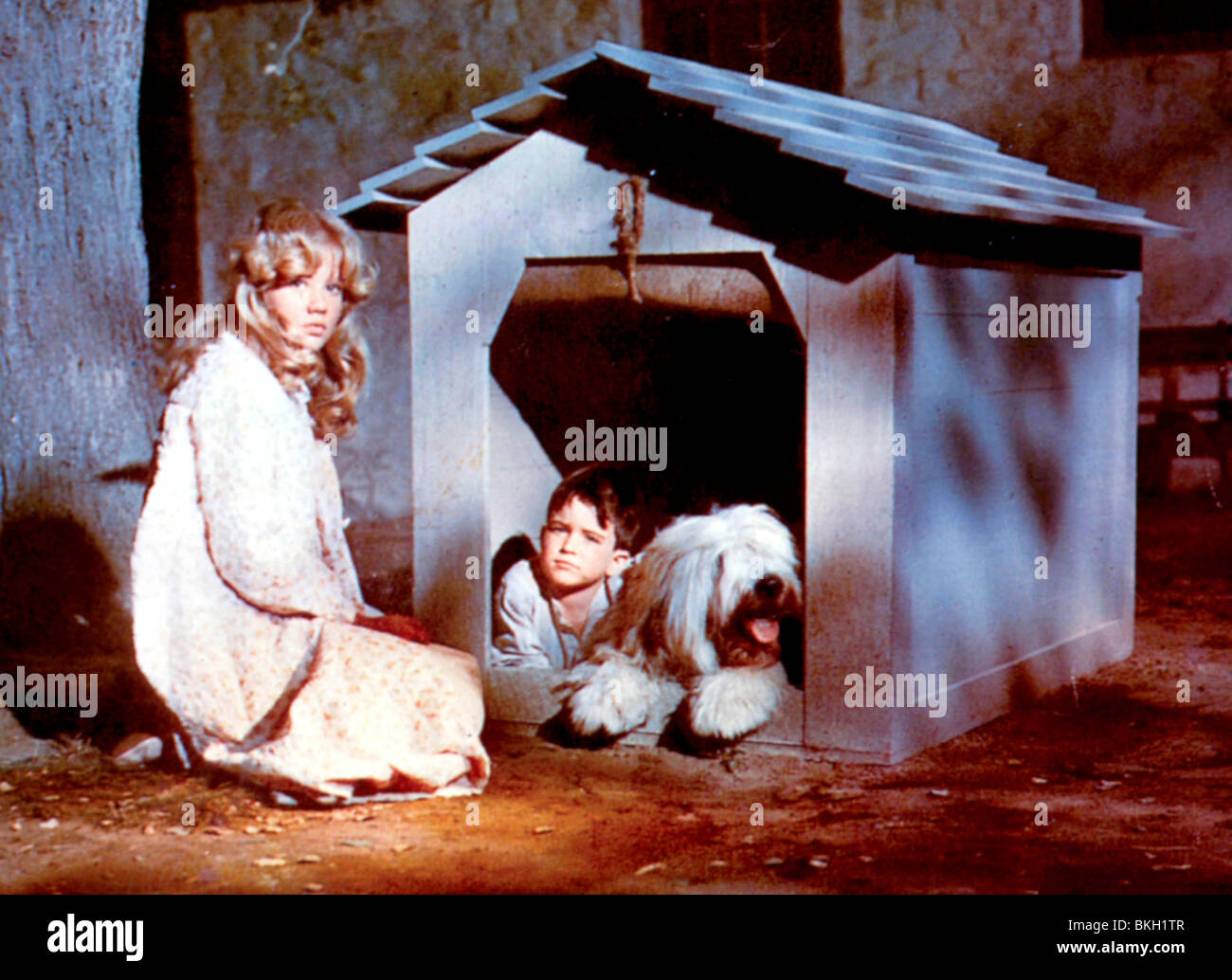 Hayley mills summer magic hi-res stock photography and images - Alamy