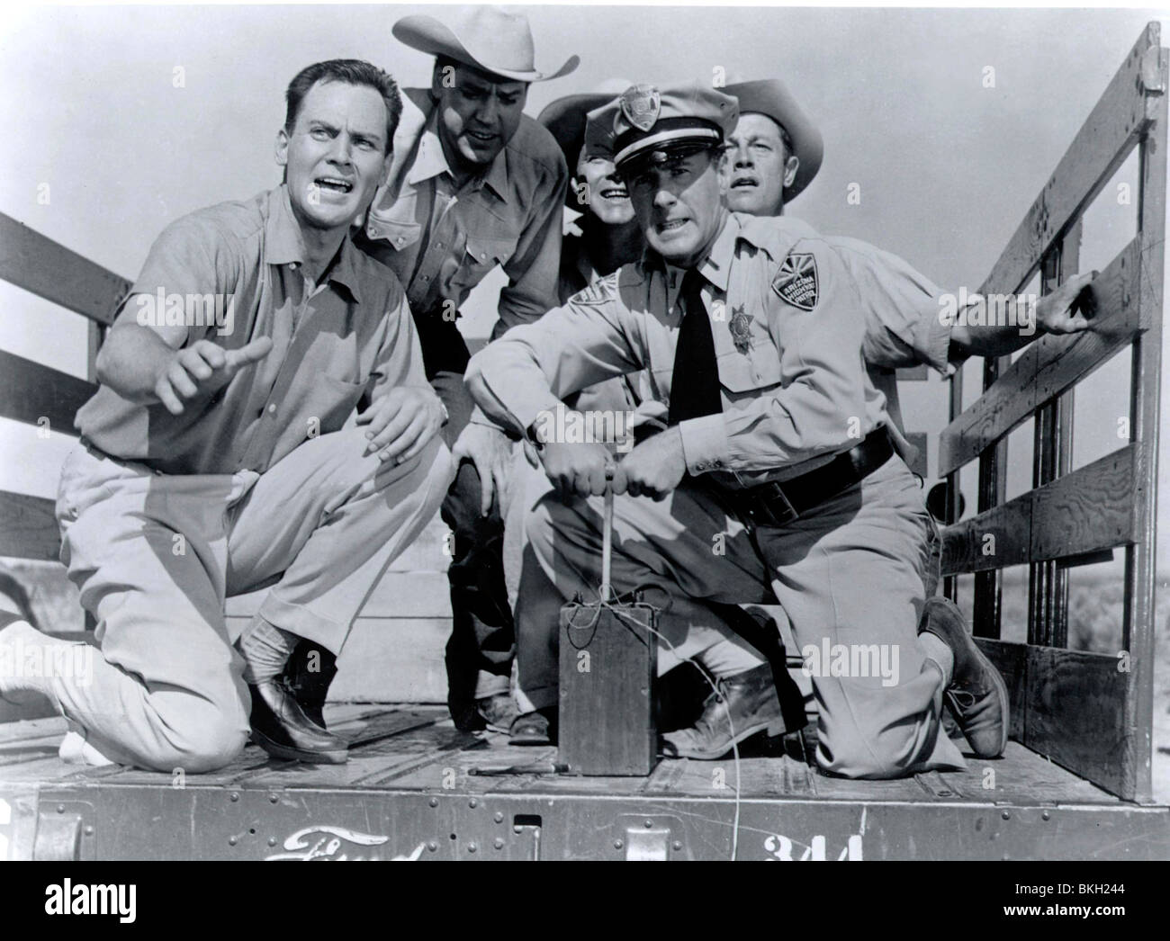 TARANTULA -1955 JOHN AGAR Stock Photo - Alamy