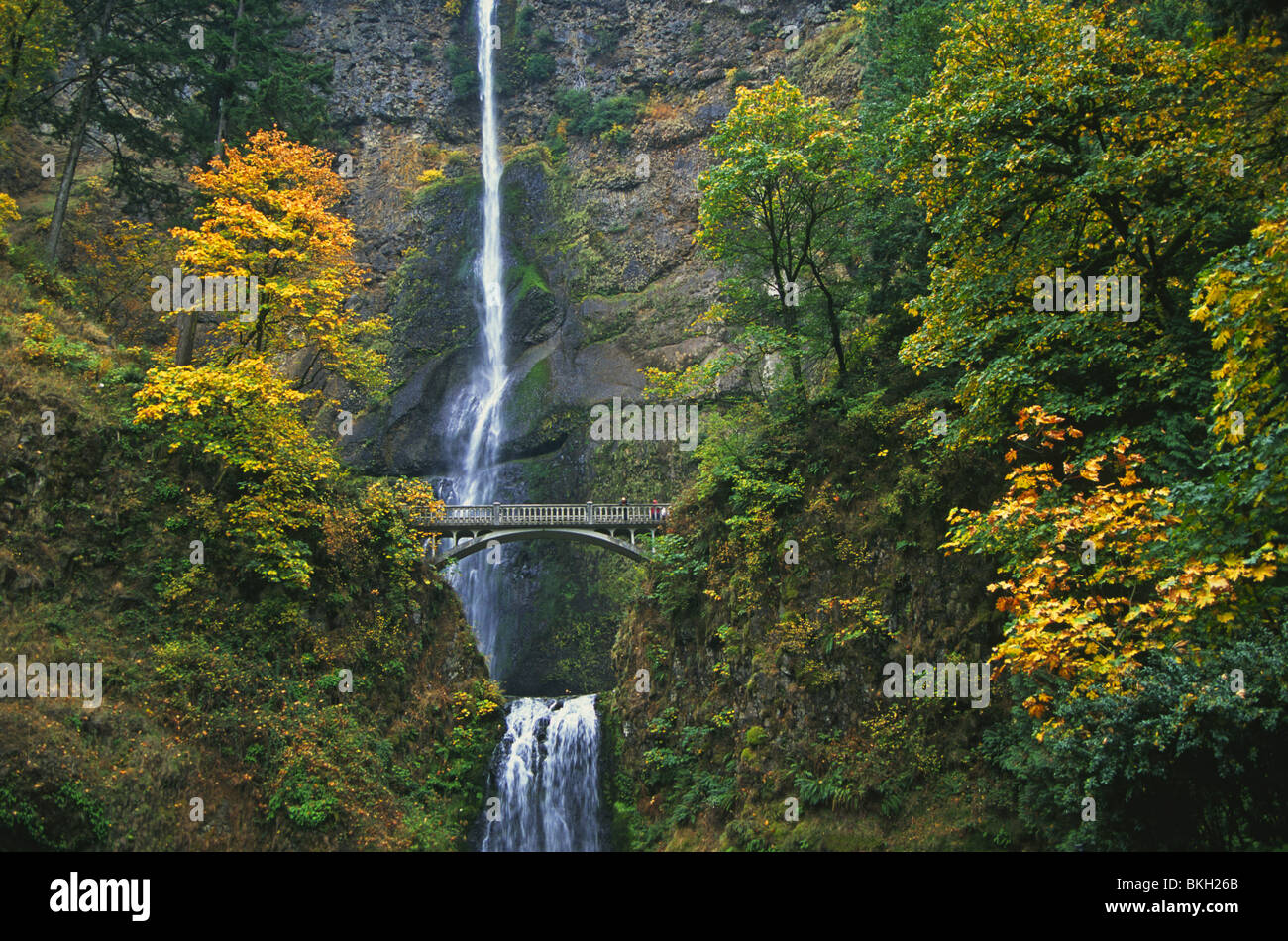 Multnomah Falls in the Columbia River Gorge Scenic Area, Oregon Stock ...