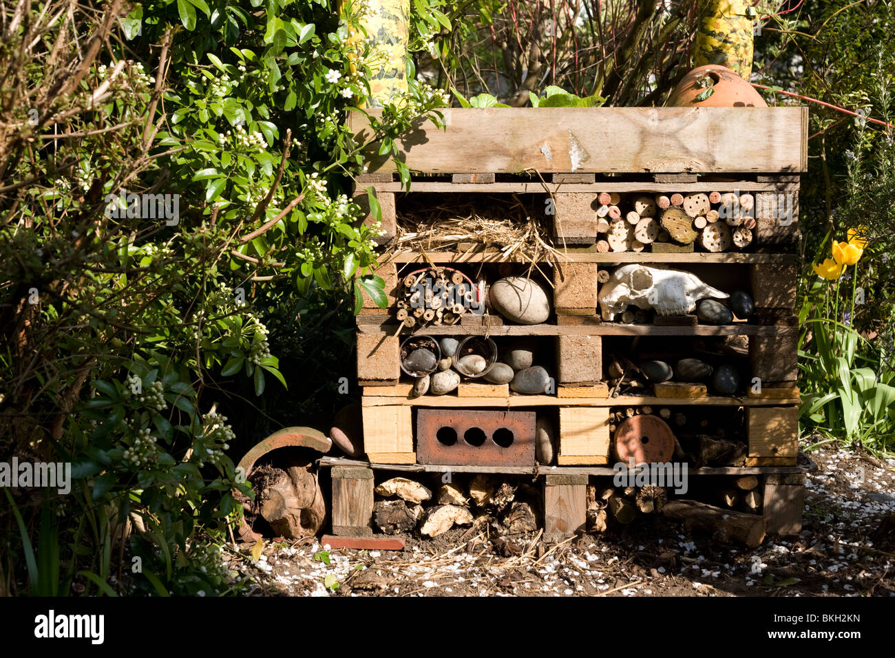 A home-made insect house, made from discarded pallets, and stacked in ...