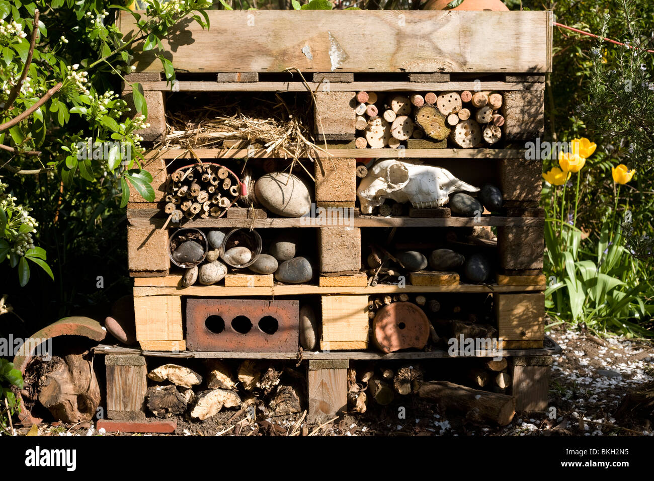 A home-made insect house, made from discarded pallets, and stacked in ...