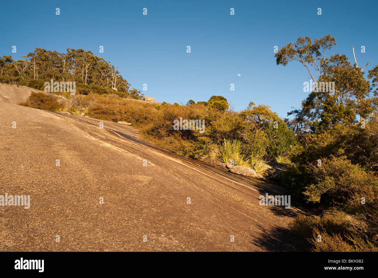 Tenterfield australia hi-res stock photography and images - Alamy
