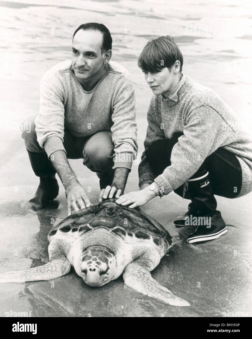 TURTLE DIARY (1986) BEN KINGSLEY, GLENDA JACKSON TTDY 005P Stock Photo ...