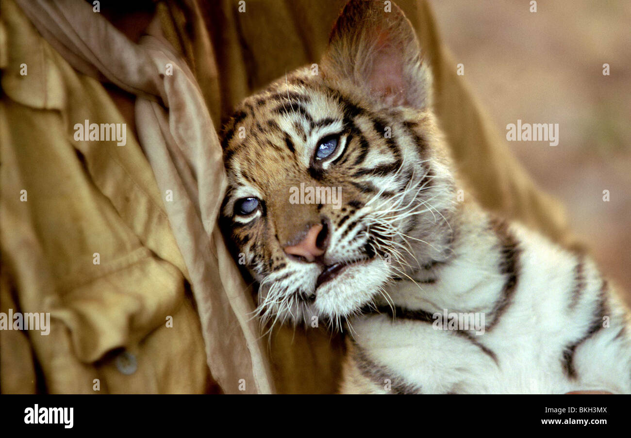 Two brothers film hi-res stock photography and images - Alamy