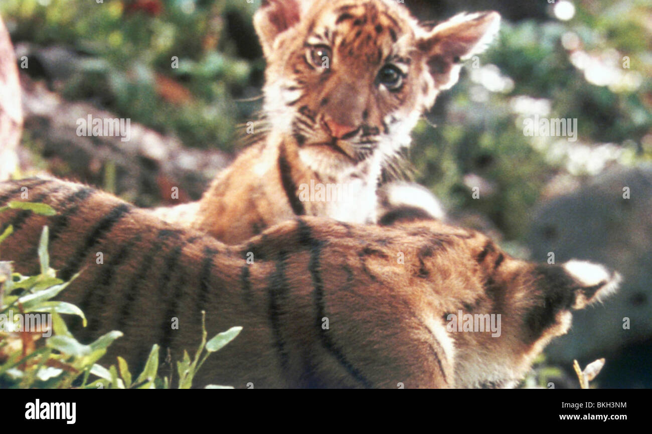 Two brothers movie hi-res stock photography and images - Alamy