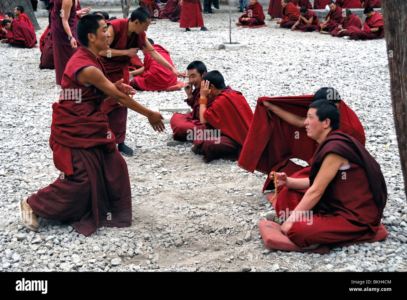 Debating monks hi-res stock photography and images - Alamy