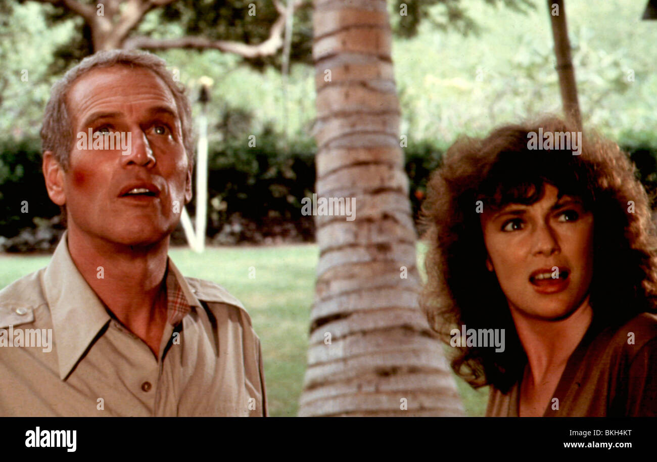 WHEN TIME RAN OUT (1980) PAUL NEWMAN, JACQUELINE BISSET WTRO 002 Stock ...