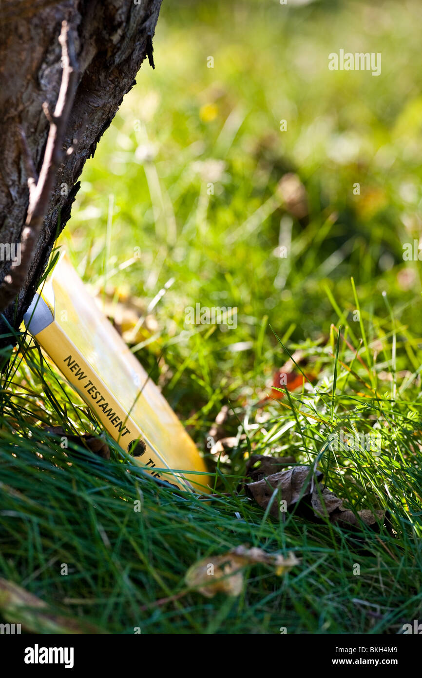 Propped up tree hi-res stock photography and images - Alamy