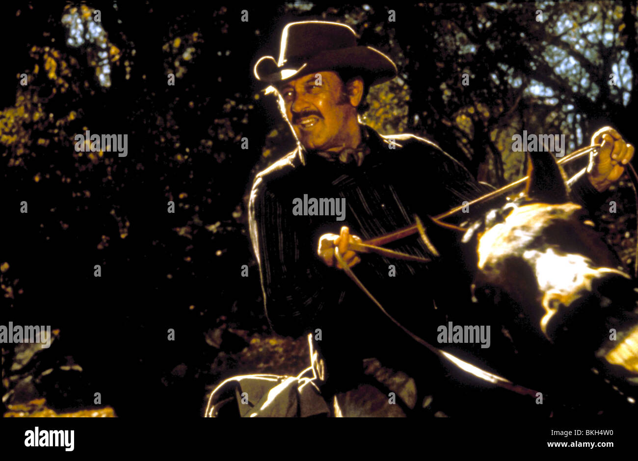 Wild rovers 1971 william holden hi-res stock photography and images - Alamy