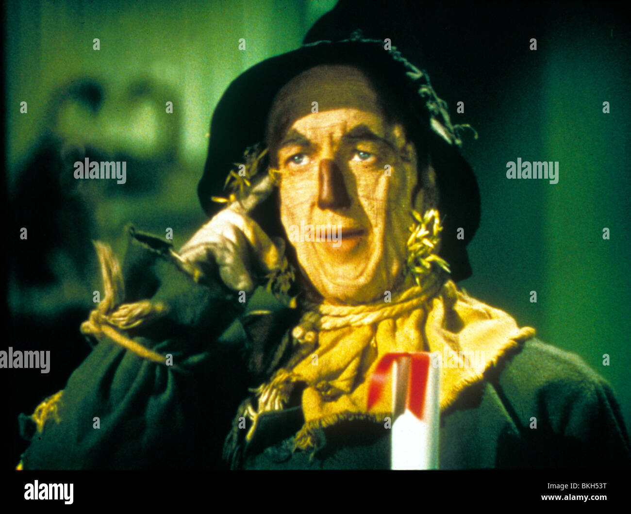 THE WIZARD OF OZ (1939) RAY BOLGER WOZ 068 Stock Photo - Alamy