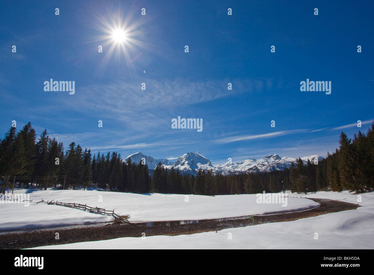 Montenegro park hi-res stock photography and images - Alamy