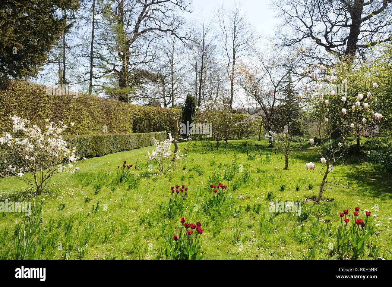 Arboretum in spring Stock Photo - Alamy