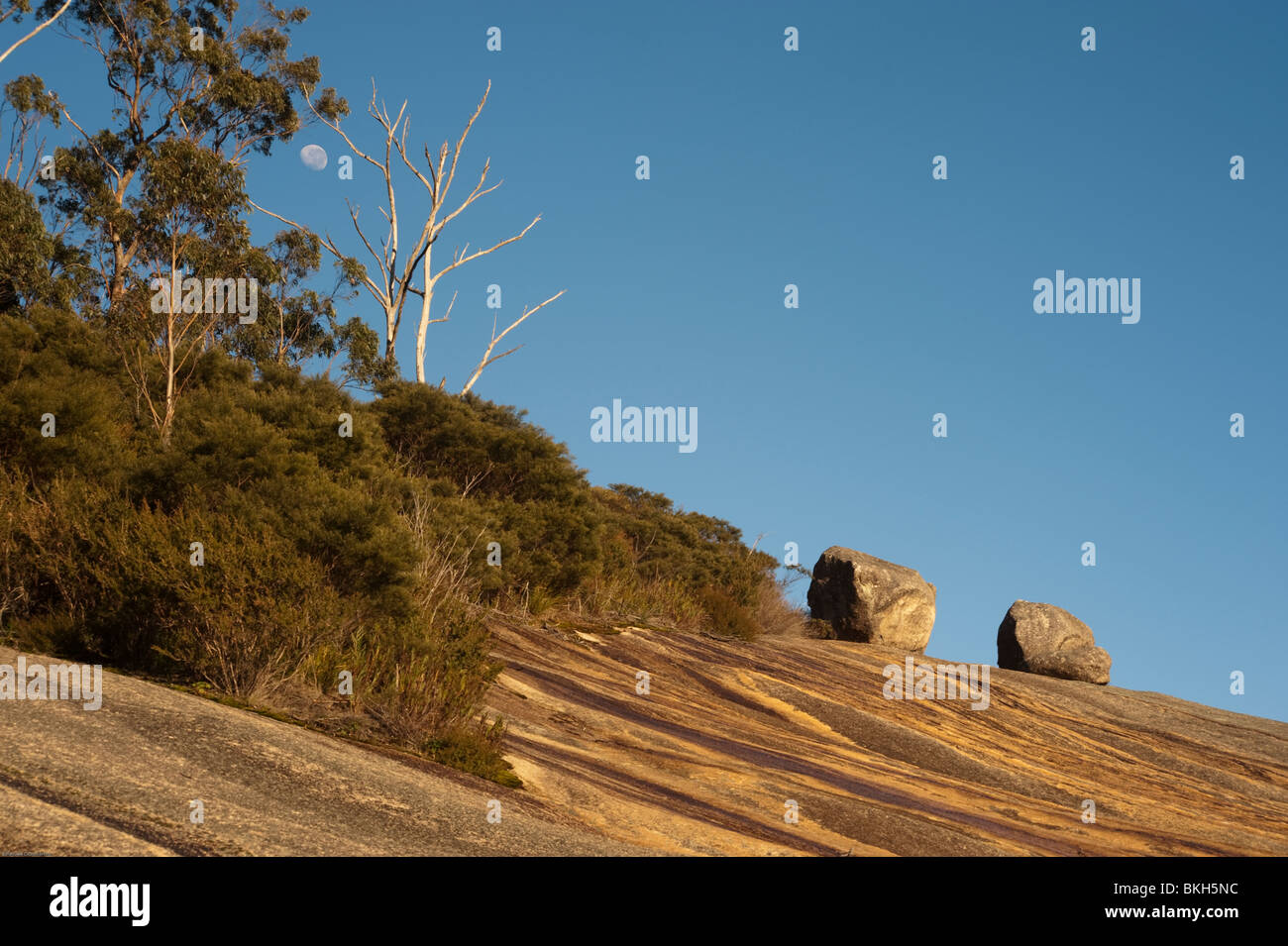 Tenterfield australia hi-res stock photography and images - Alamy