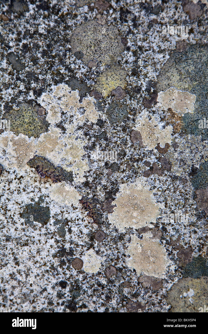 Forming Patterns High Resolution Stock Photography and Images - Alamy