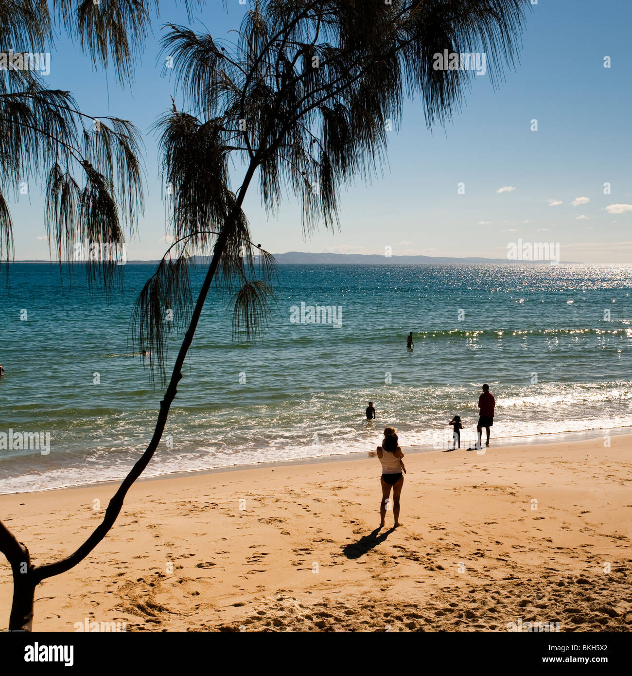 Beach, Noosa, Queensland, Australia Stock Photo - Alamy