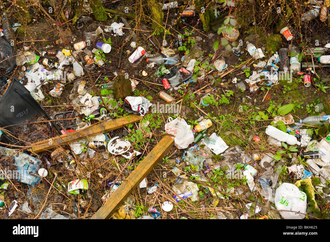 Litter and rubbish dumped at roadside layby hedge UK Stock Photo - Alamy