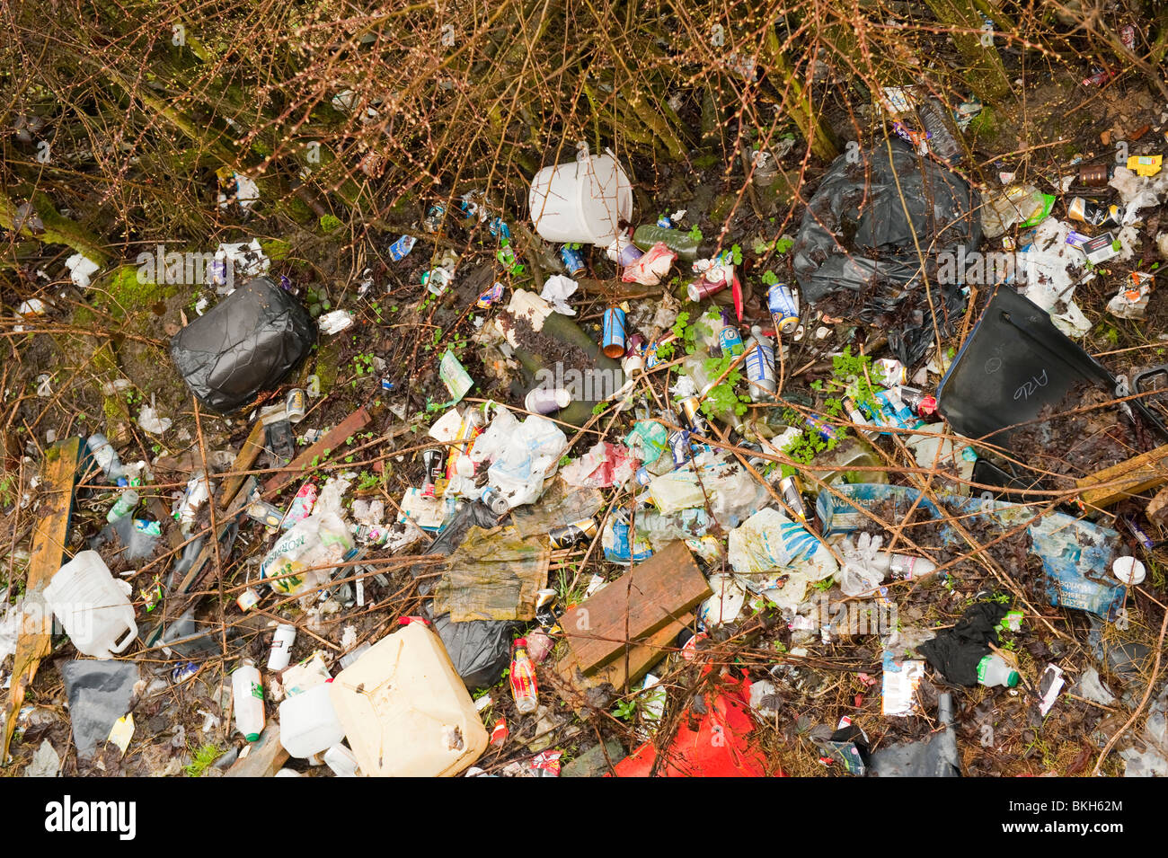 Litter and rubbish dumped at roadside layby hedge UK Stock Photo - Alamy
