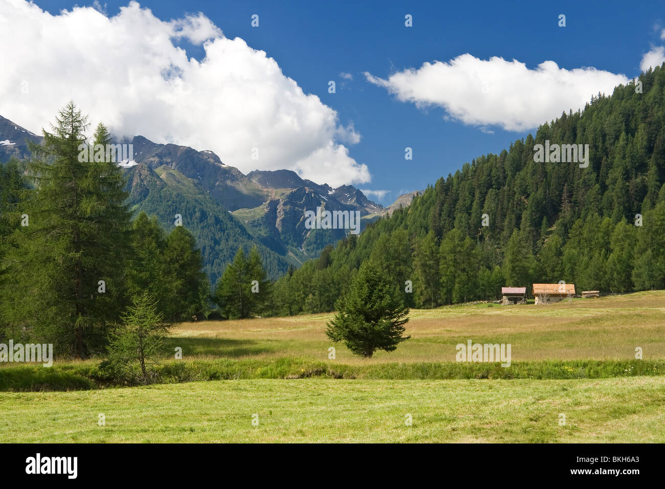 Pejo hi-res stock photography and images - Alamy