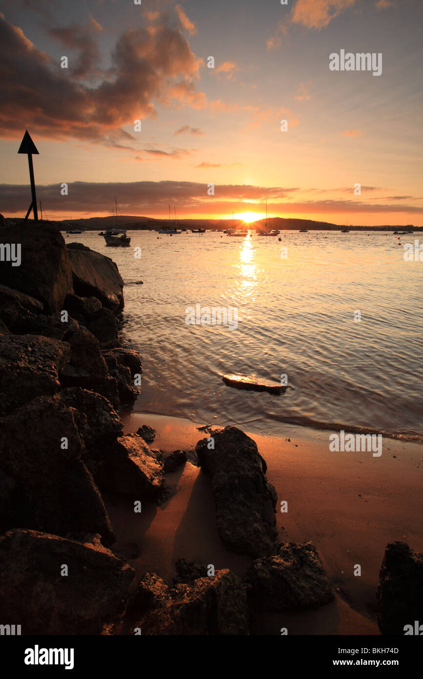 Exmouth Beach Groynes High Resolution Stock Photography and Images - Alamy