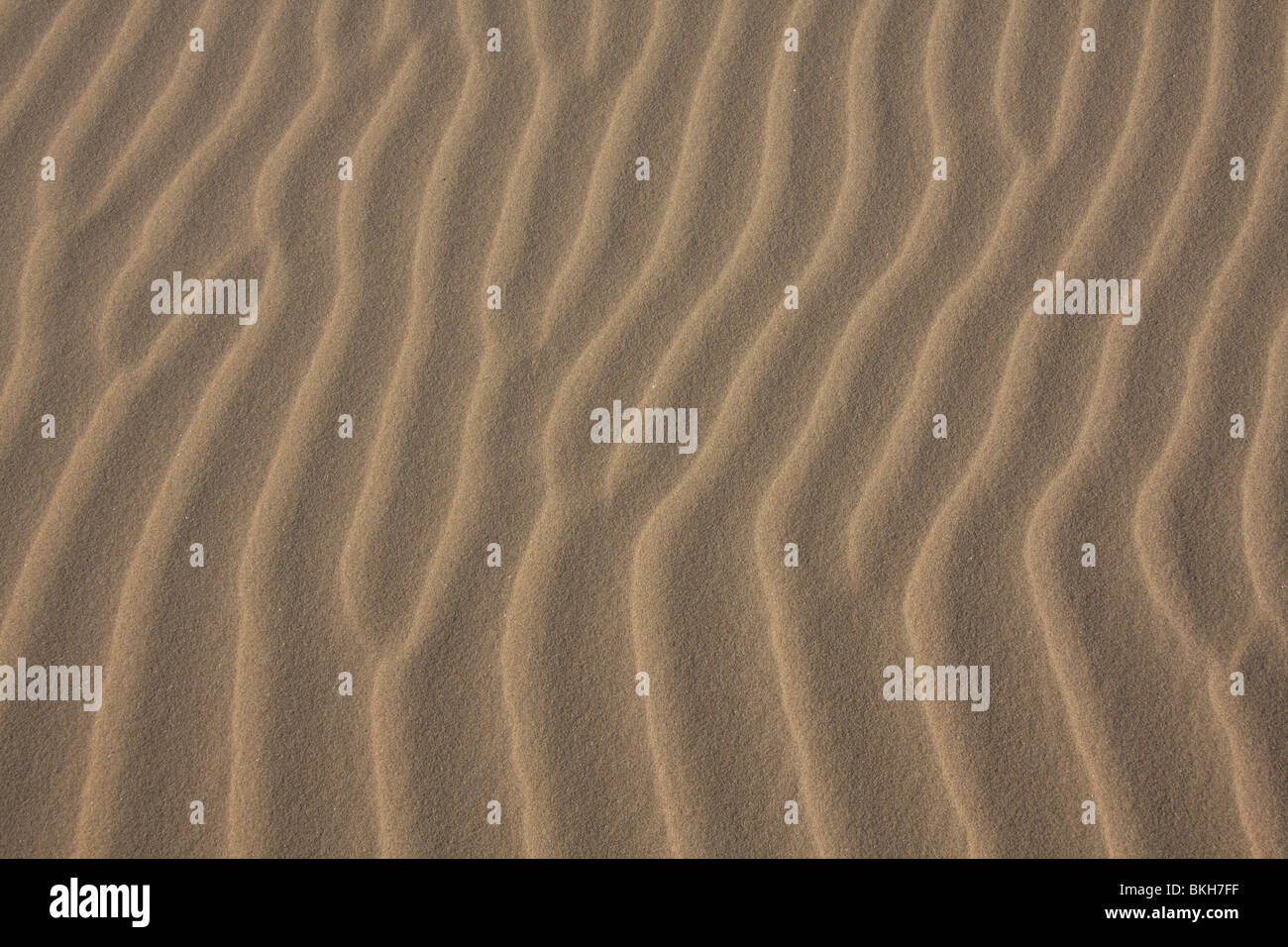 Ribbels hi-res stock photography and images - Alamy