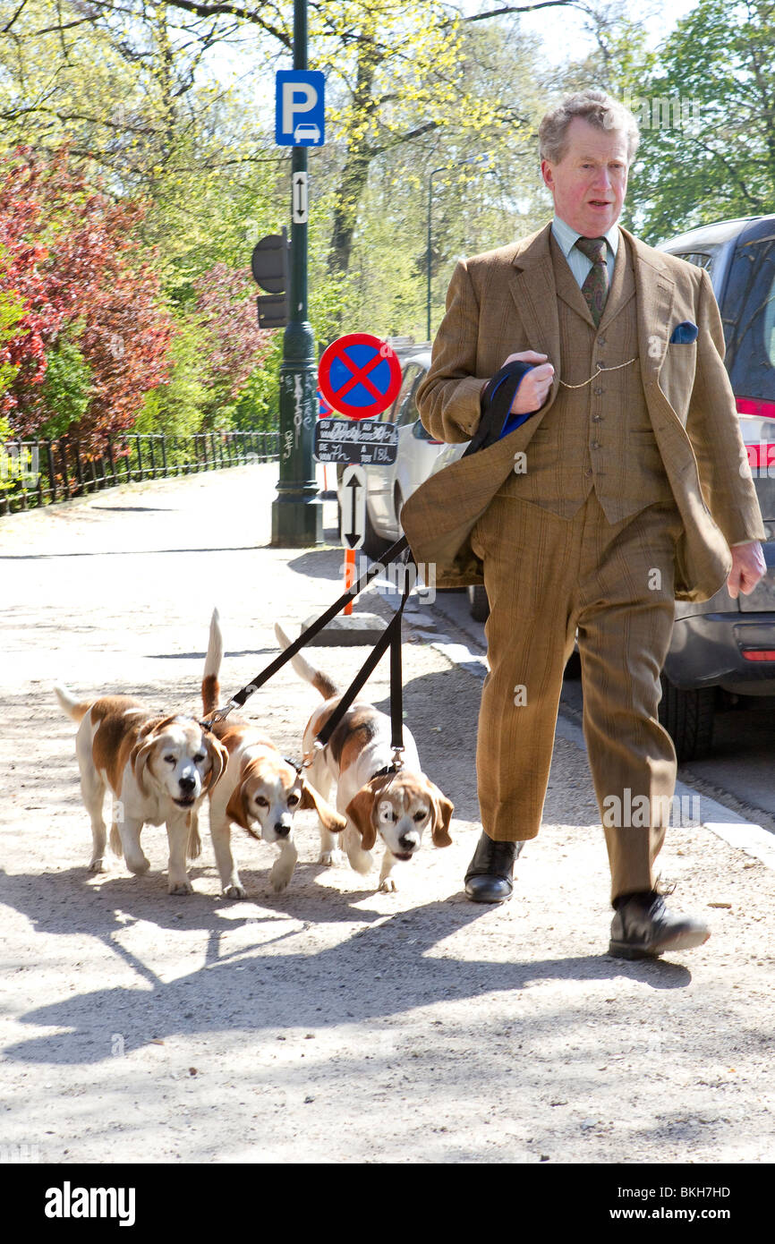 man with three dogs Stock Photo - Alamy