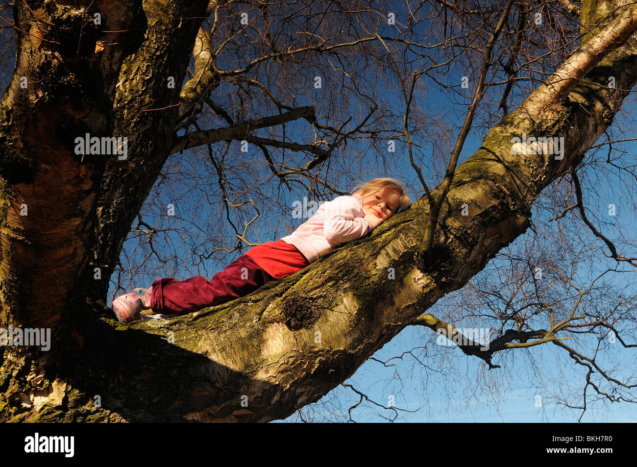 Kind ligt in boom; child lies in a tree Stock Photo - Alamy