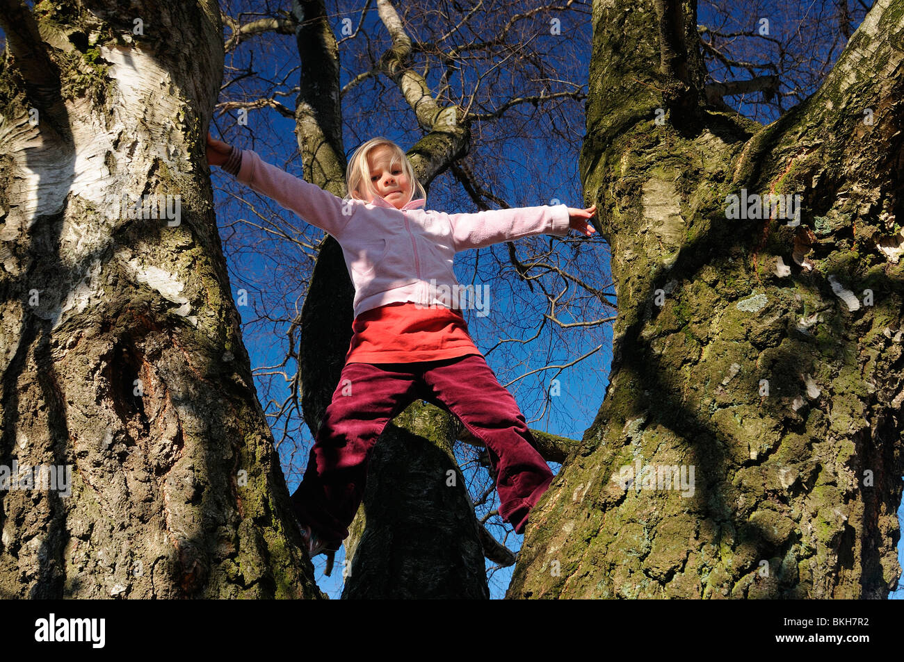 A girl is climbing a tree Stock Photo - Alamy