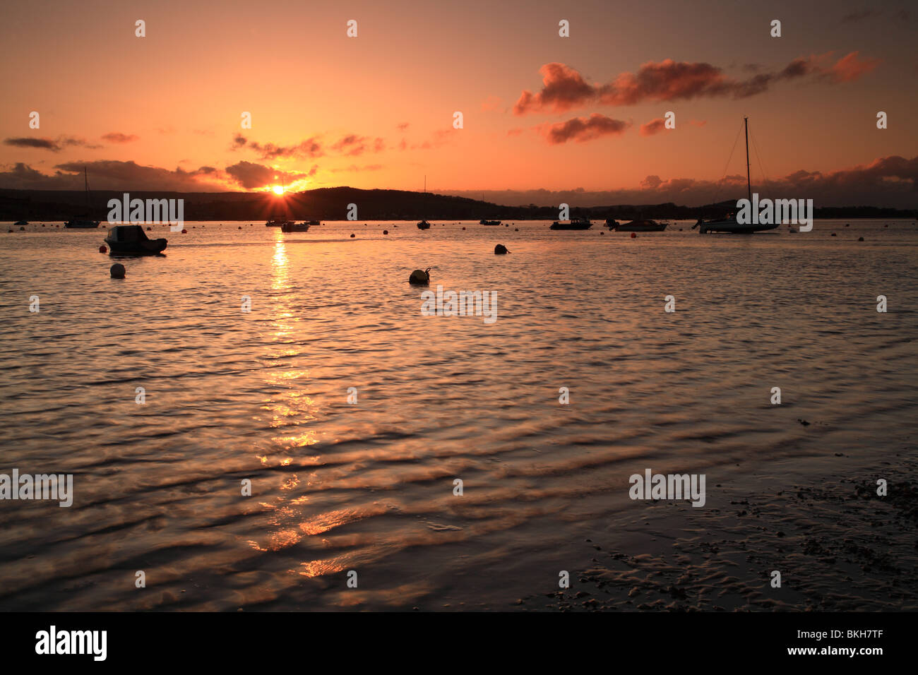 Exe estuary hi-res stock photography and images - Alamy