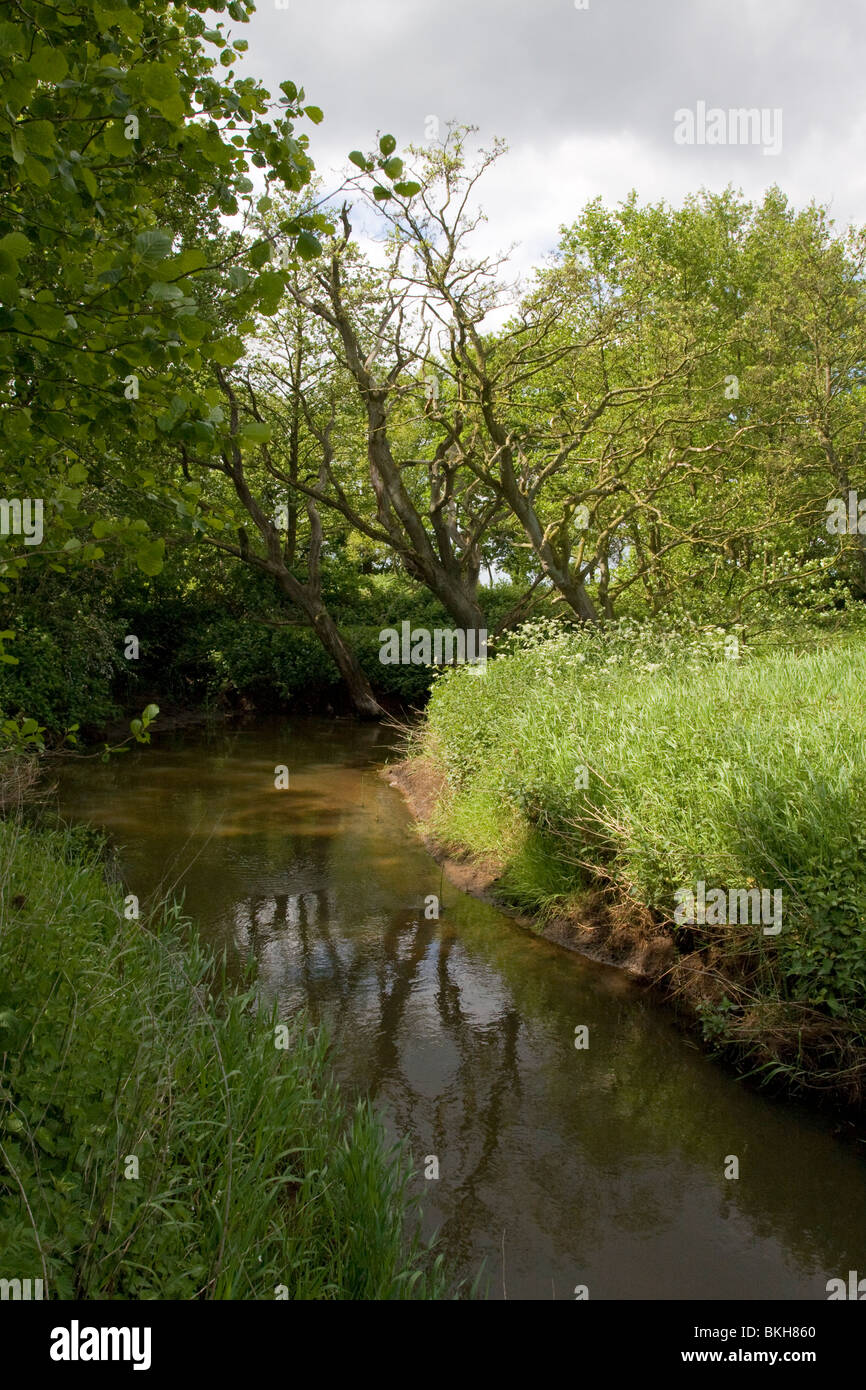 Drentse landschap hi-res stock photography and images - Alamy