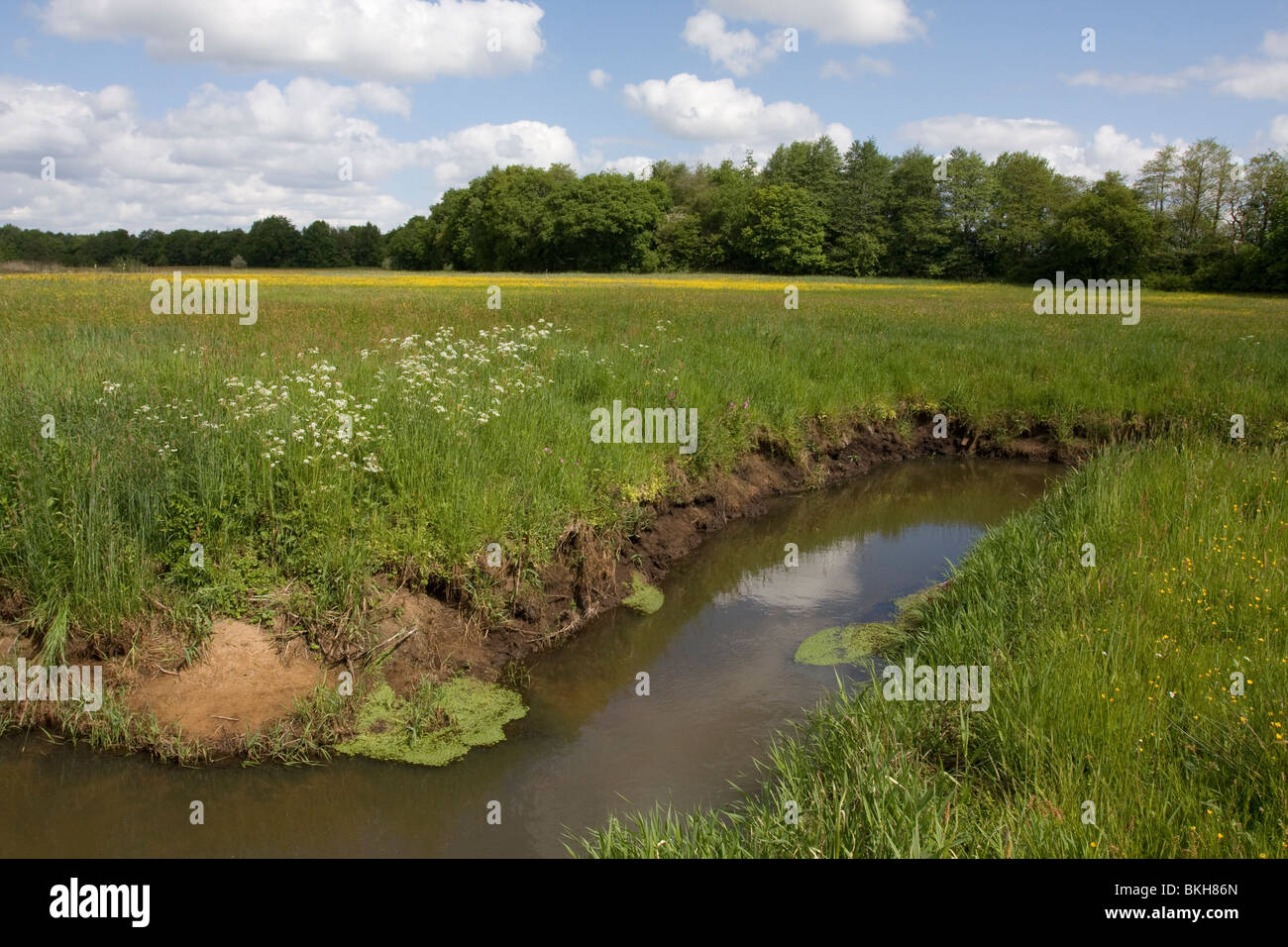 Drentse landschap hi-res stock photography and images - Alamy