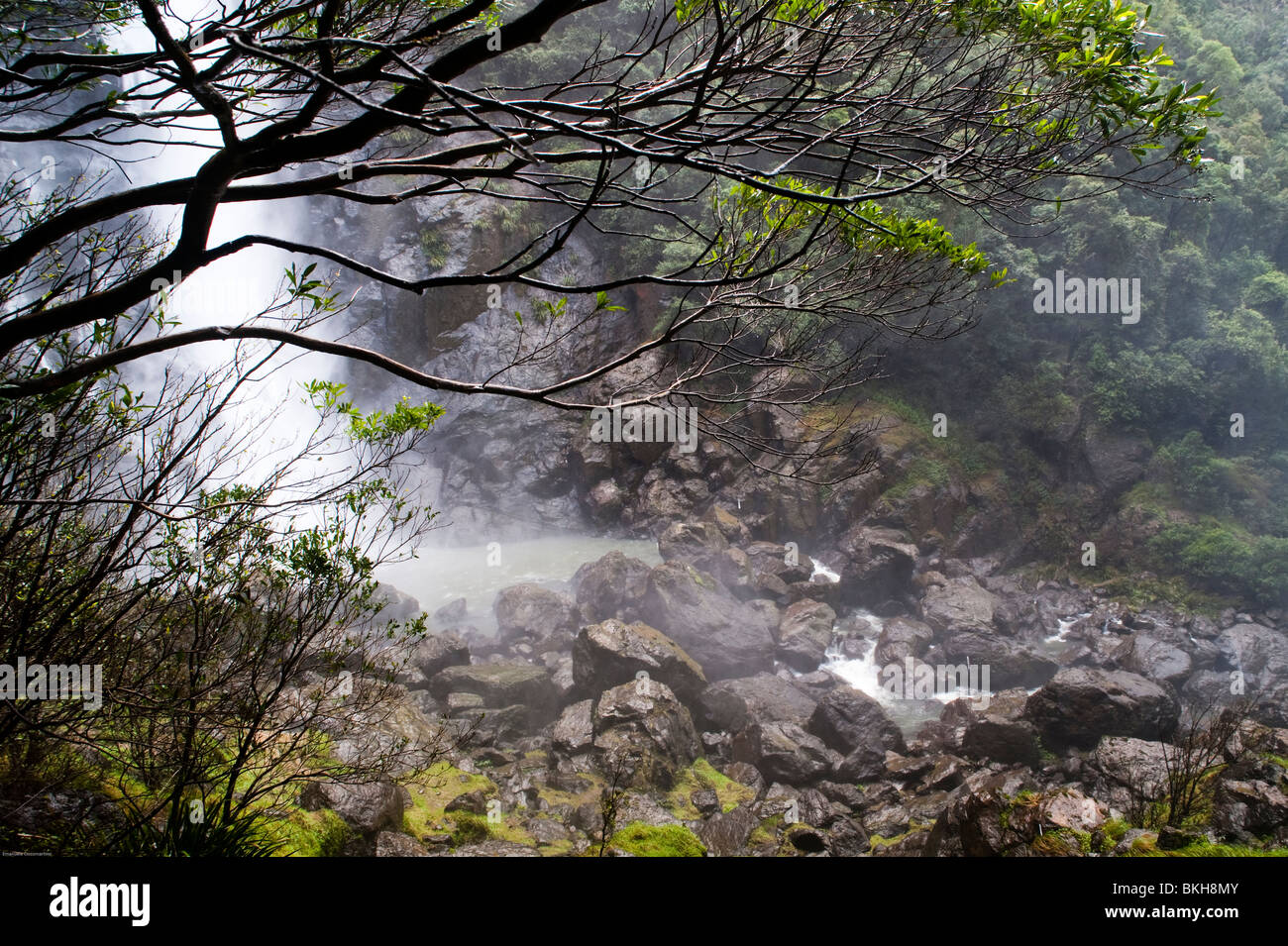 Ellenborough Falls, Elands, New South Wales, Australia Stock Photo - Alamy
