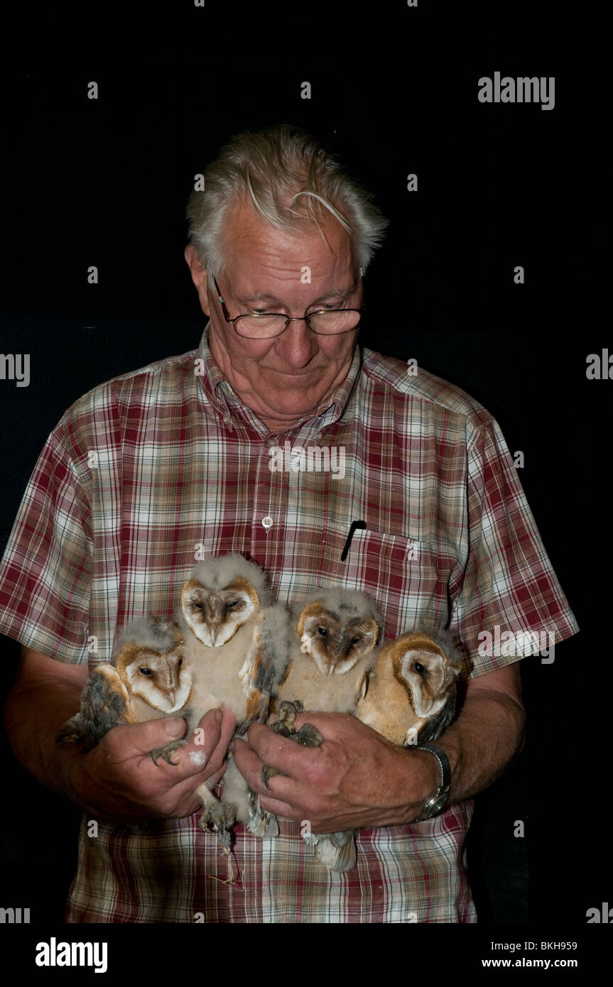 Vogelringer hi-res stock photography and images - Alamy