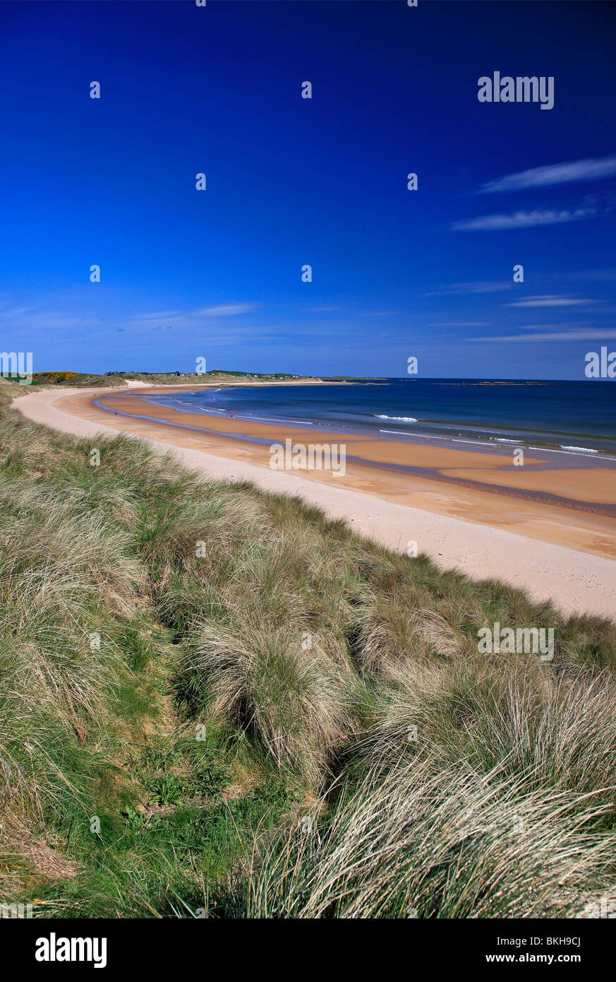 Sand patterns embleton bay beach hi-res stock photography and images ...