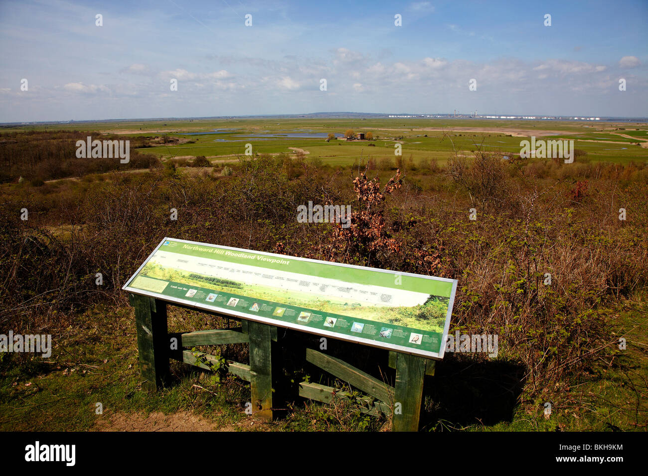 Thames marshes hi-res stock photography and images - Alamy