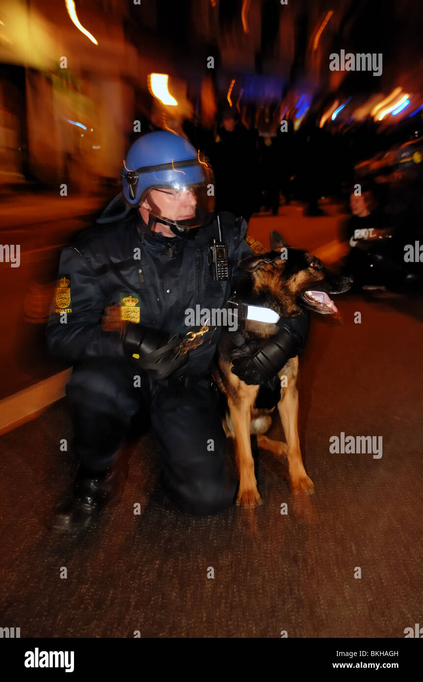 Crowd control dog hi-res stock photography and images - Alamy
