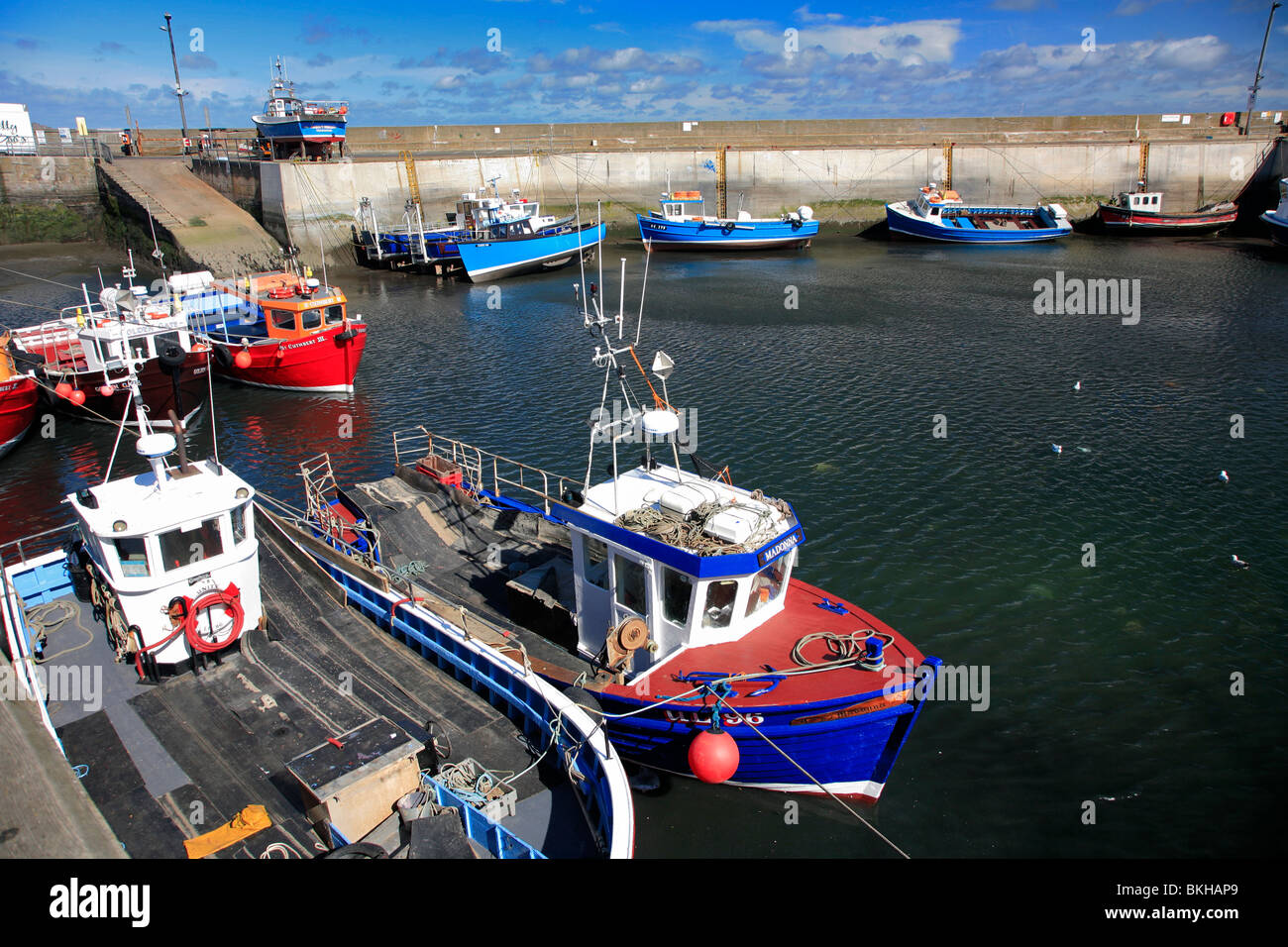 Seahouses northumberland fish hi-res stock photography and images - Alamy